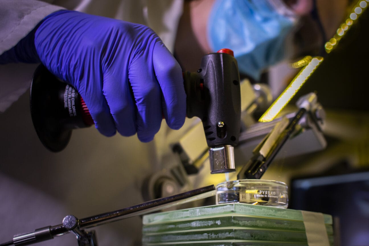 Carbon fiber brain-implant electrodes show promise in animal study ...