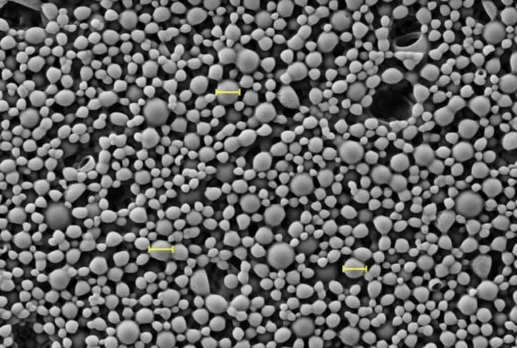Nanoparticle Therapy May Help Steer Immune Cells Toward Healing in ...